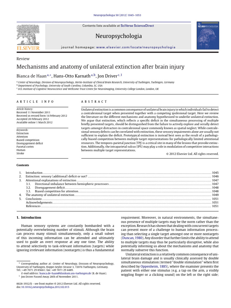 Extinción Unilateral | PDF | Lateralization Of Brain Function | Attention