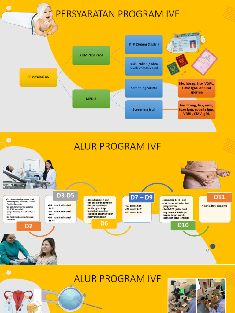Panduan Program IVF | PDF