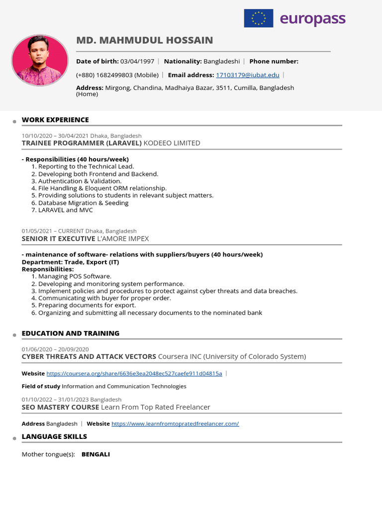 Europass CV Simple Format | PDF | Web Development | Websites