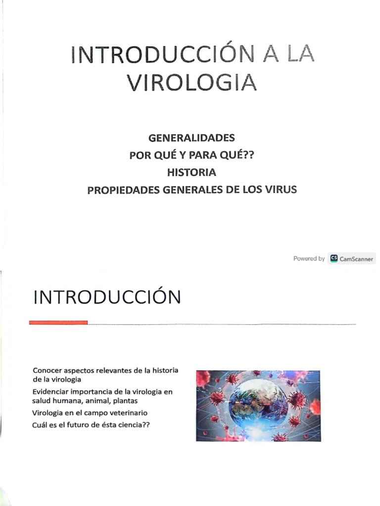 Virus 1 | PDF