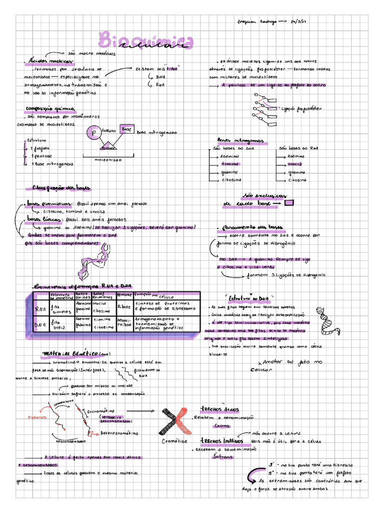 Bioquímica celular - resumo | PDF