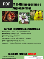 Raízes Adventícias: Exemplos e Funções | PDF | Raiz | Morfologia vegetal