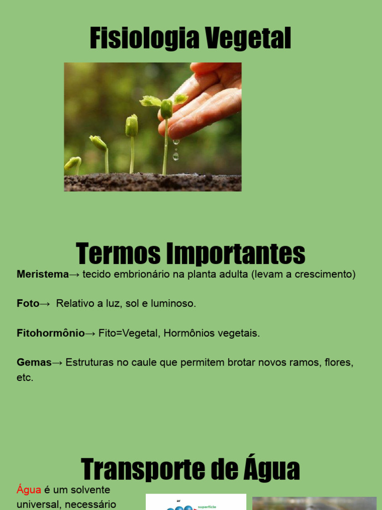 Fisiologia vegetal IU 20 | PDF | Fotossíntese | Hormônio vegetal