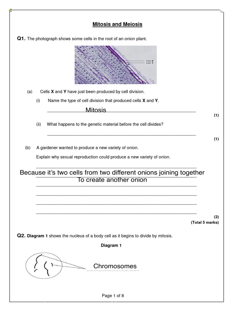 MITOSIS & MEIOSIS | PDF | Meiosis | Mitosis
