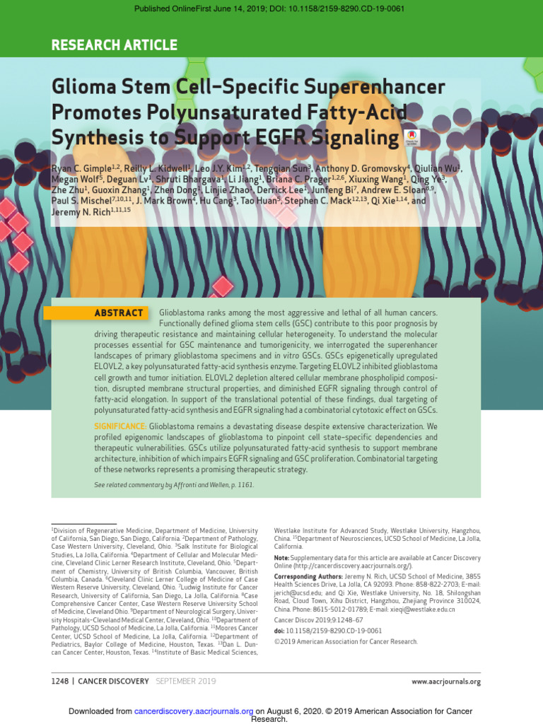 Glioma Stem Cell Specific Super Enhancer Promotes Polyunsaturated Fatty ...