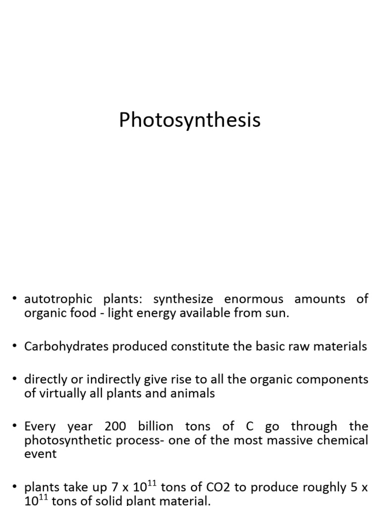Introduction To Photosynthesis | PDF | Carotenoid | Photosynthesis