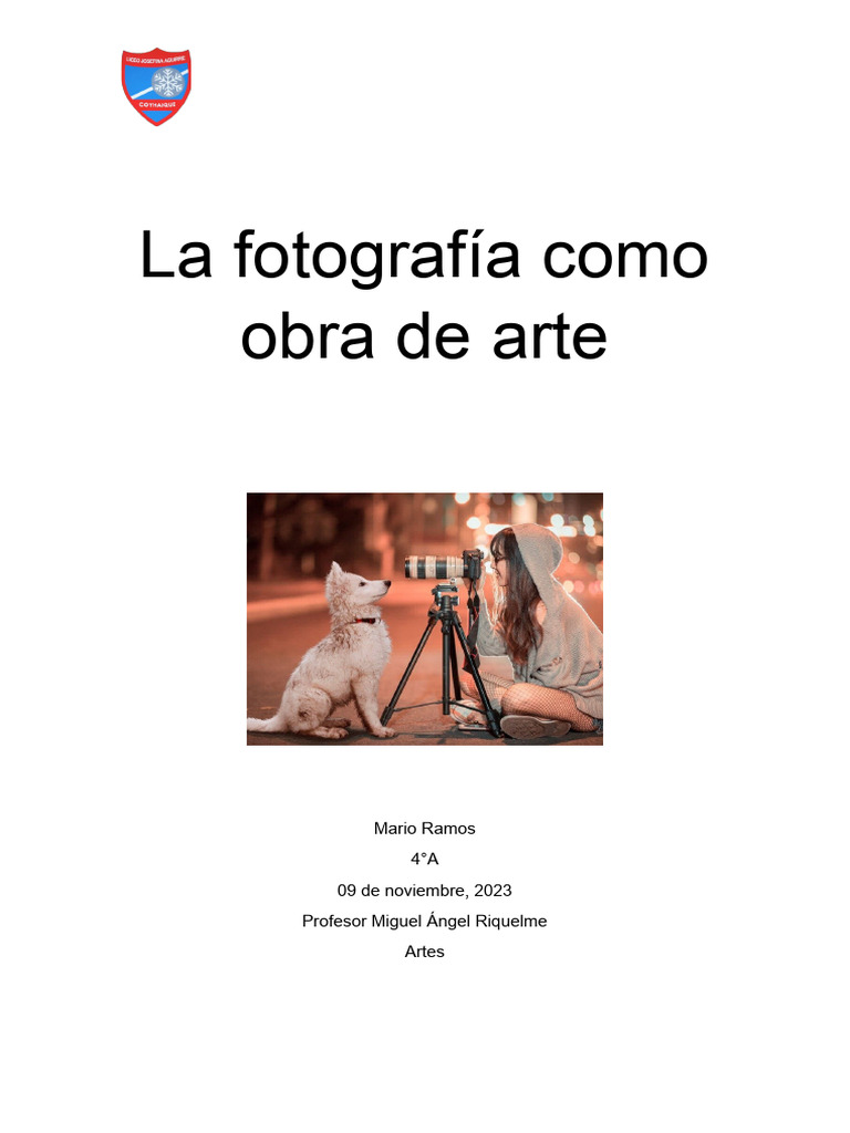La Fotografía Como Obra de Arte | PDF | Obras de arte | Estética