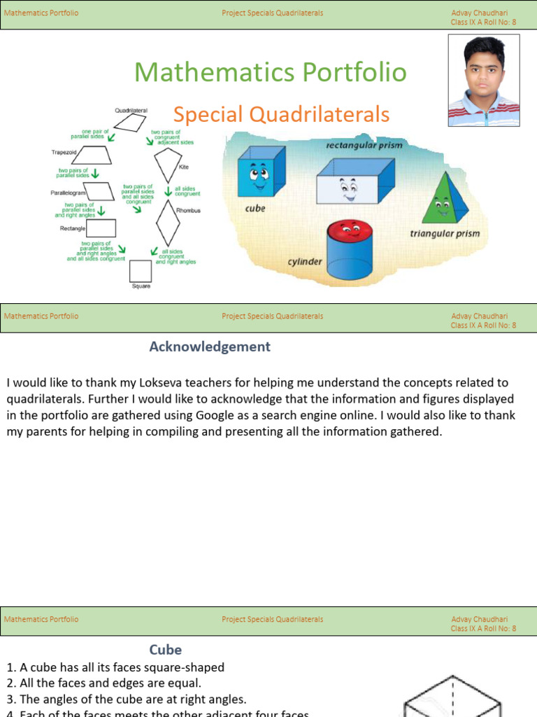 Maths Project Class 9 | PDF | Sphere | Area