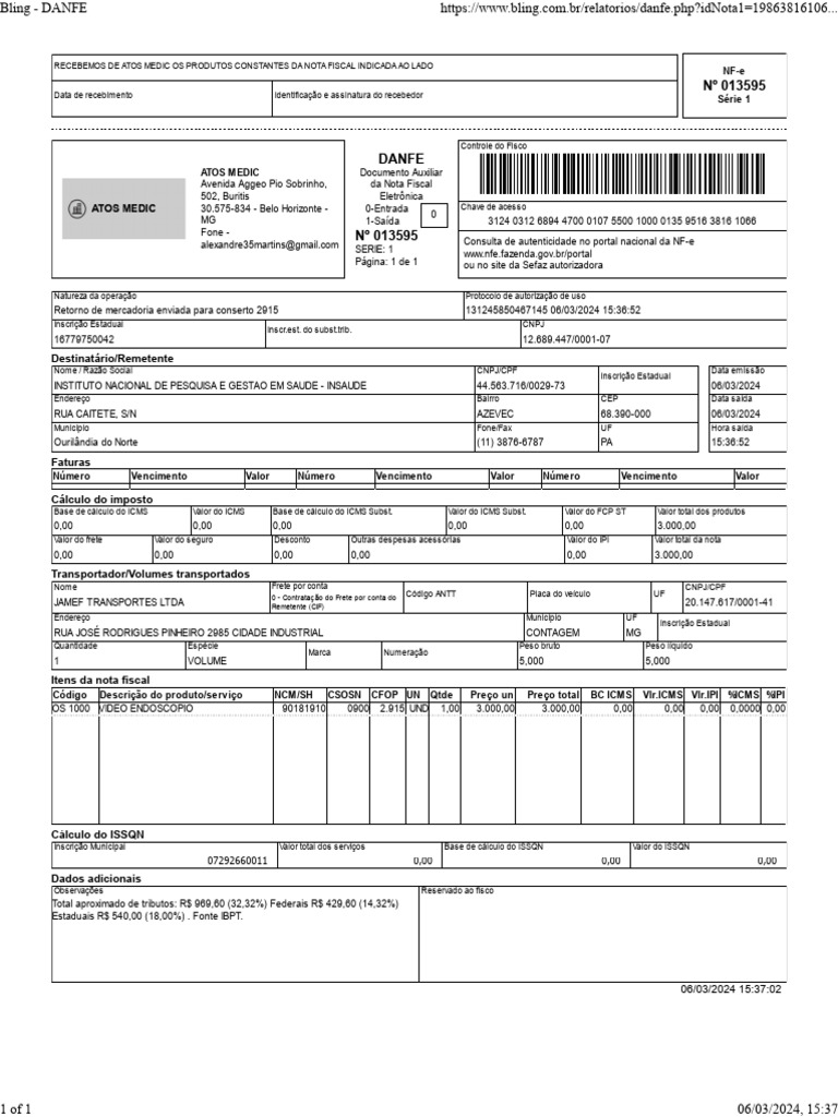 Bling - Danfe 13.595 | PDF