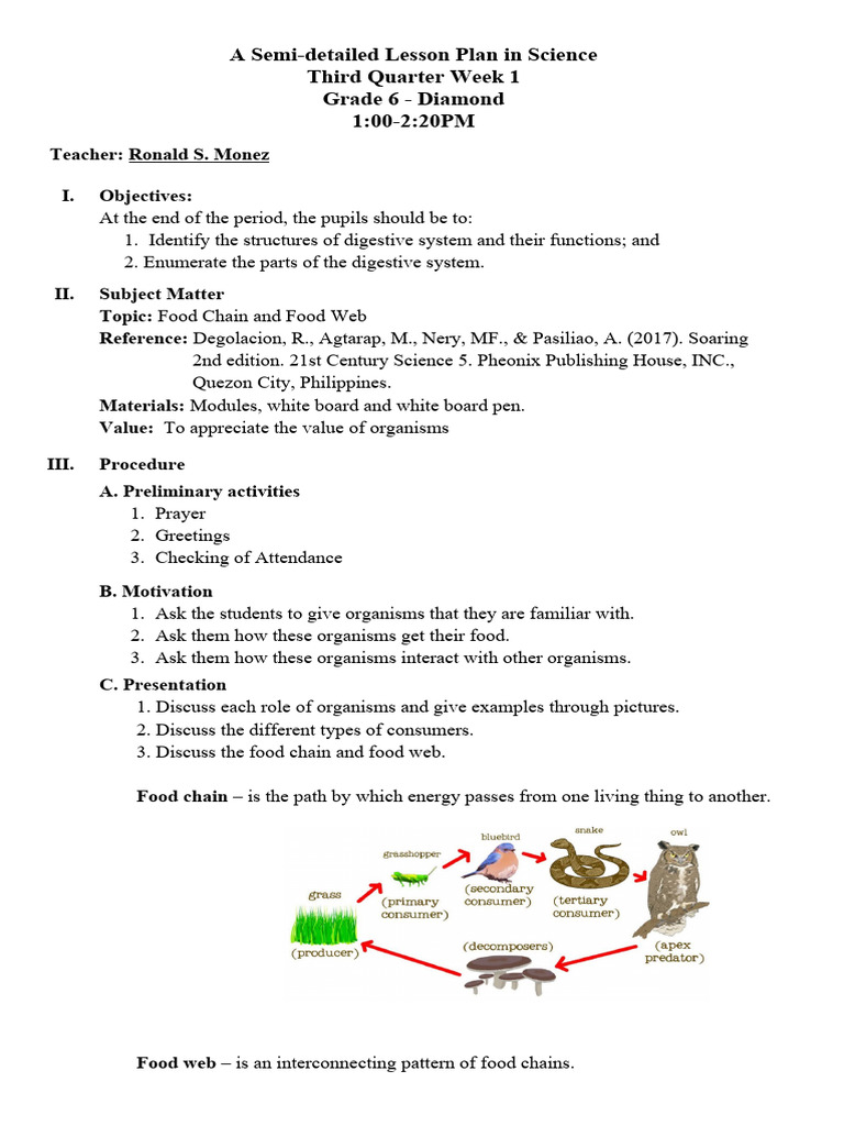 Grade 6 Science Lesson Plan: Food Chain | PDF | Wellness | Science ...