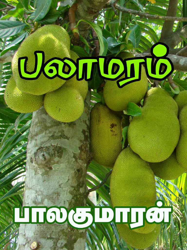 Pala Maram by Balakumaran | PDF