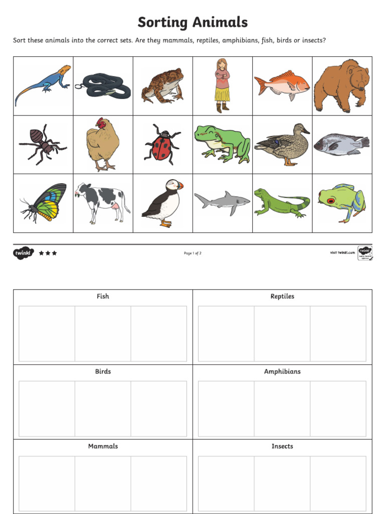 3A - Grouping Animals | PDF