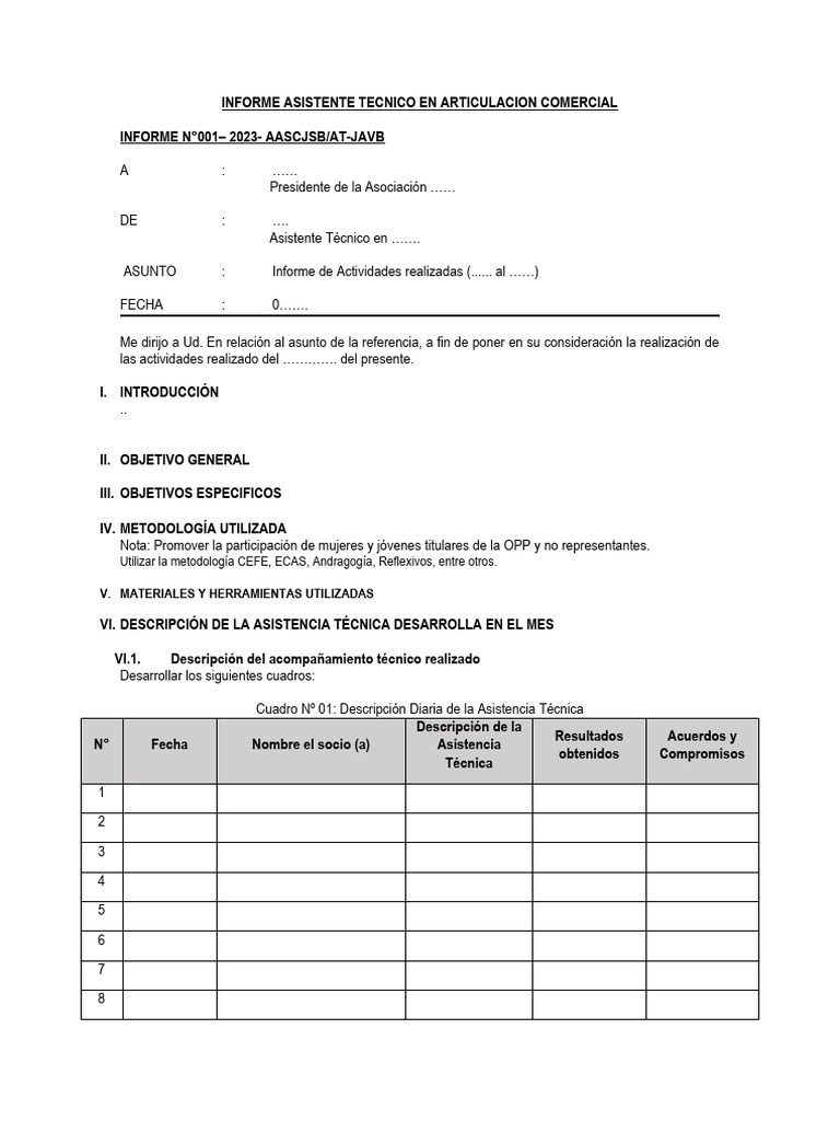 Modelo Informe de Asistente Tecnico | PDF