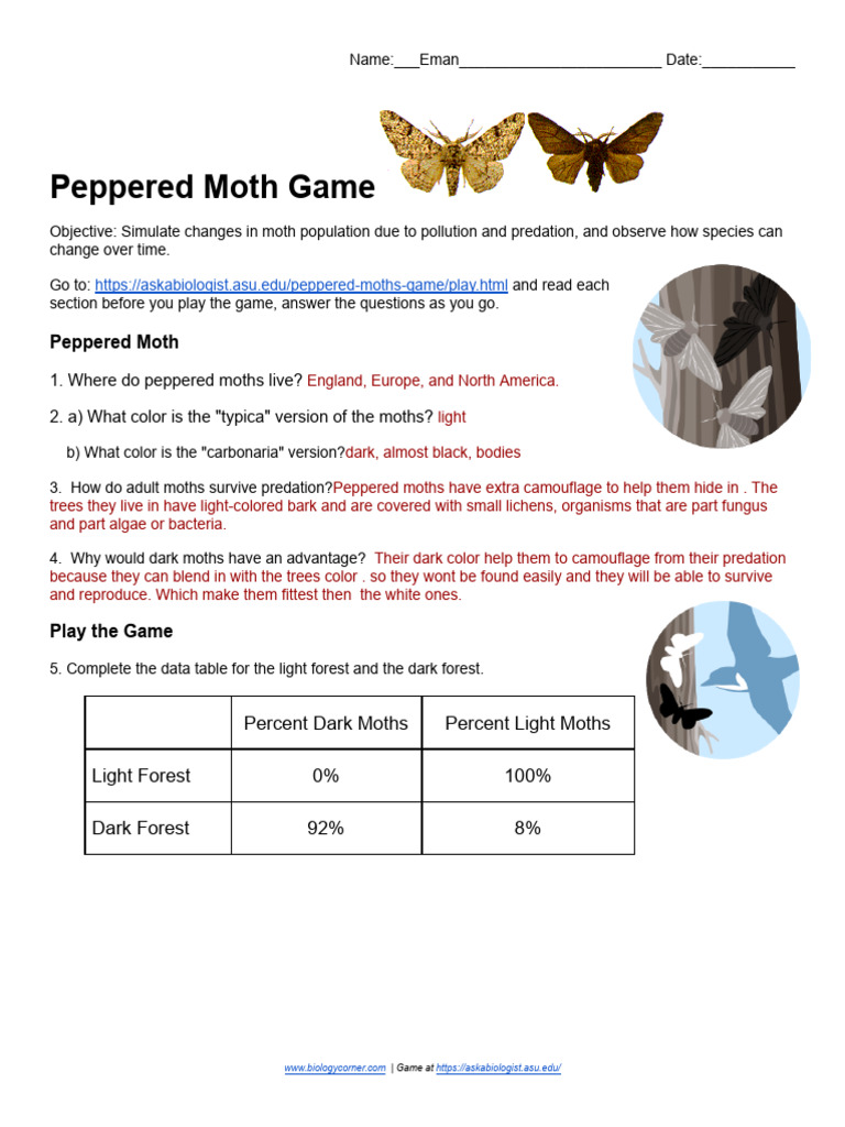 March 4 Peppered Moth Game | Download Free PDF | Natural Selection ...
