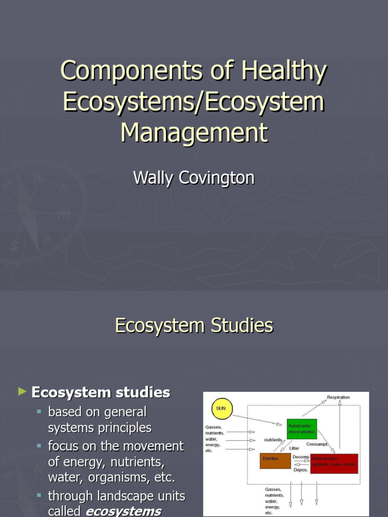 covington-healthy-ecosystems | PDF | Ecosystem | Forests