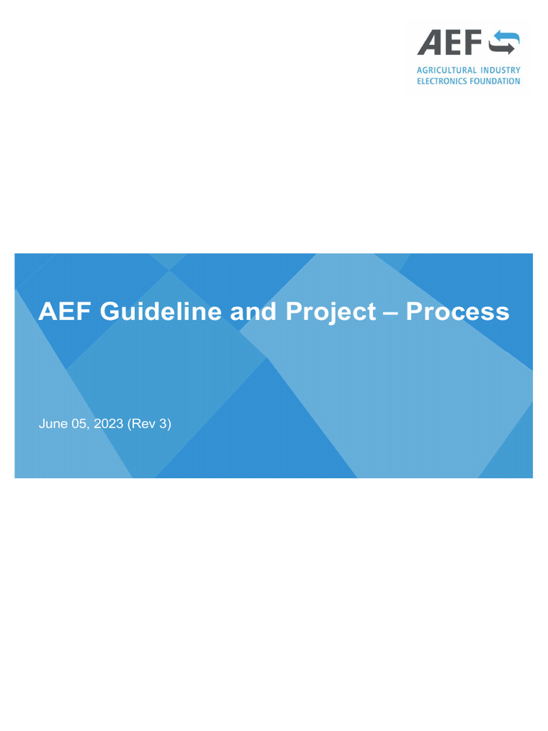 AEF Project Process Guidelines 2023 | PDF | International Organization ...