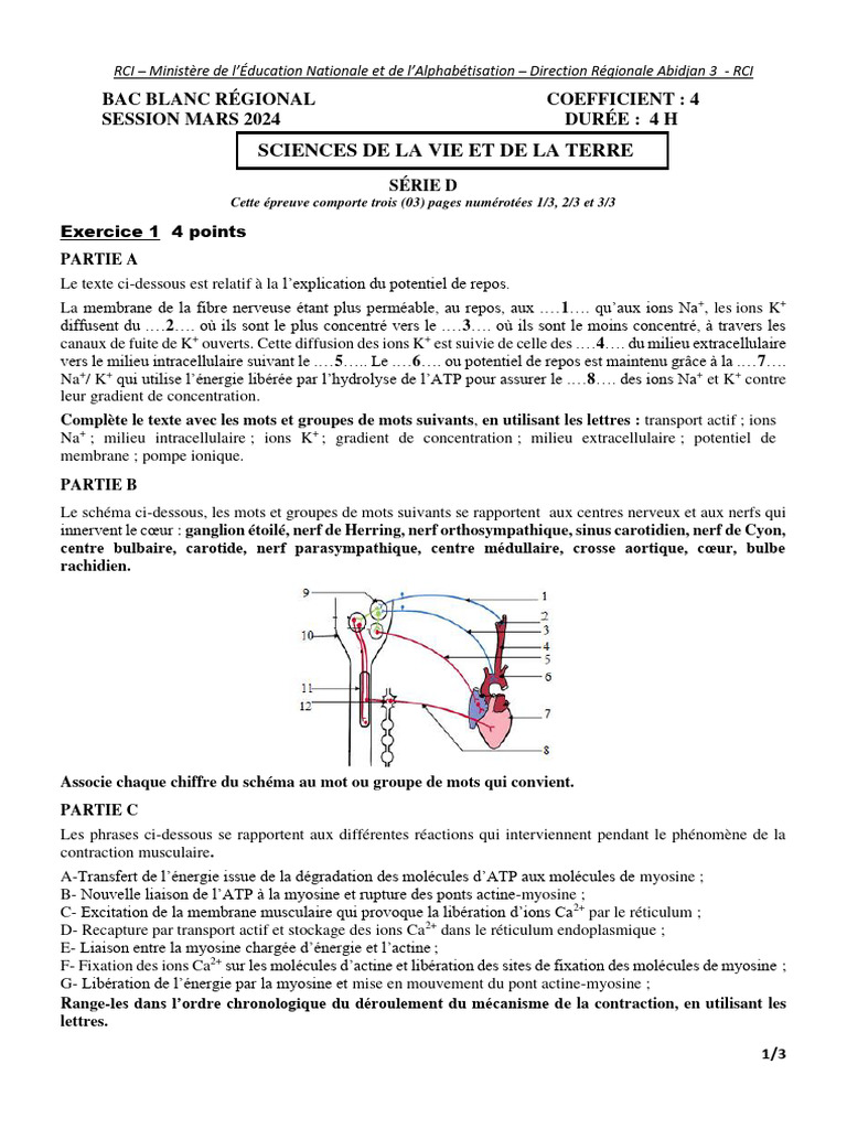Bac Serie D SVT | PDF