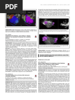 BWI Product Catalog 2022 | PDF | Catheter