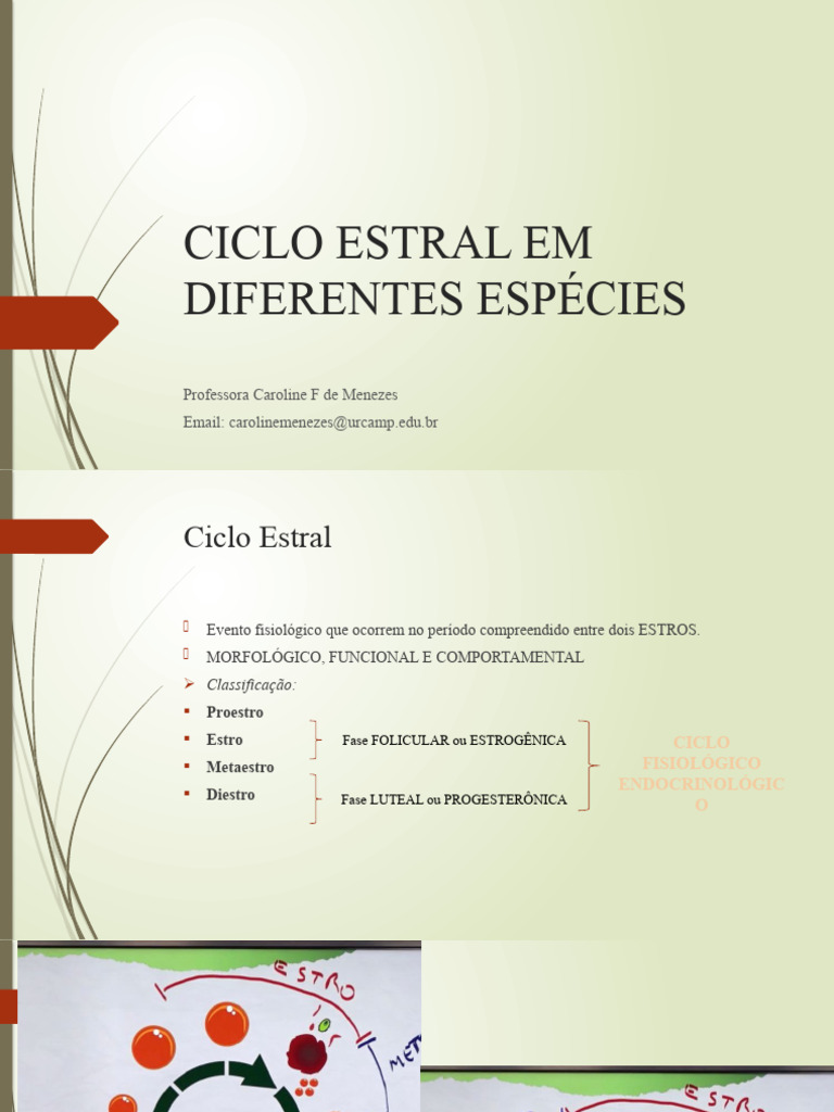 Ciclo Estral em Diferentes Espécies | PDF