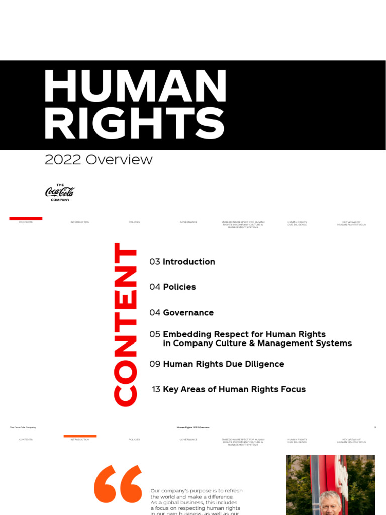 Human Rights Overview 2022 | PDF | Supply Chain | Governance