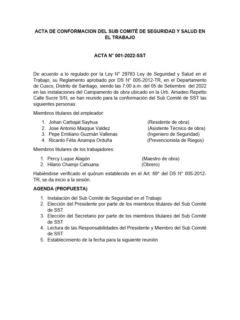 Acta de Conformacion Del Sub Comité de Seguridad y Salud en El Trabajo | PDF | Gobierno ...
