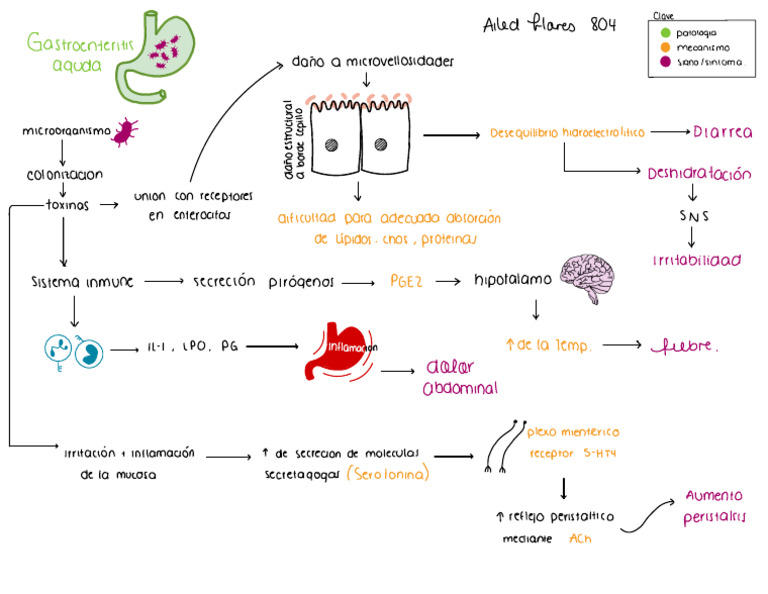 Diagrama T2 CCI | PDF