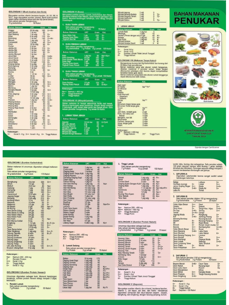Bahan Makanan Penukar (Kemenkes) | PDF