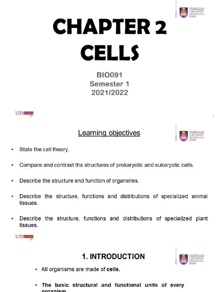 Chapter 2 Cells | PDF