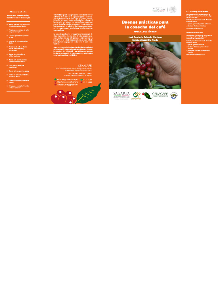 Buenas Prácticas en Cosecha de Café | PDF | café | Tallo de la planta