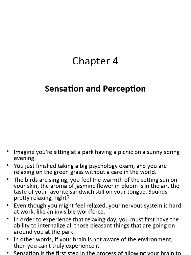 HB Chapter 04 STD | PDF | Senses | Perception