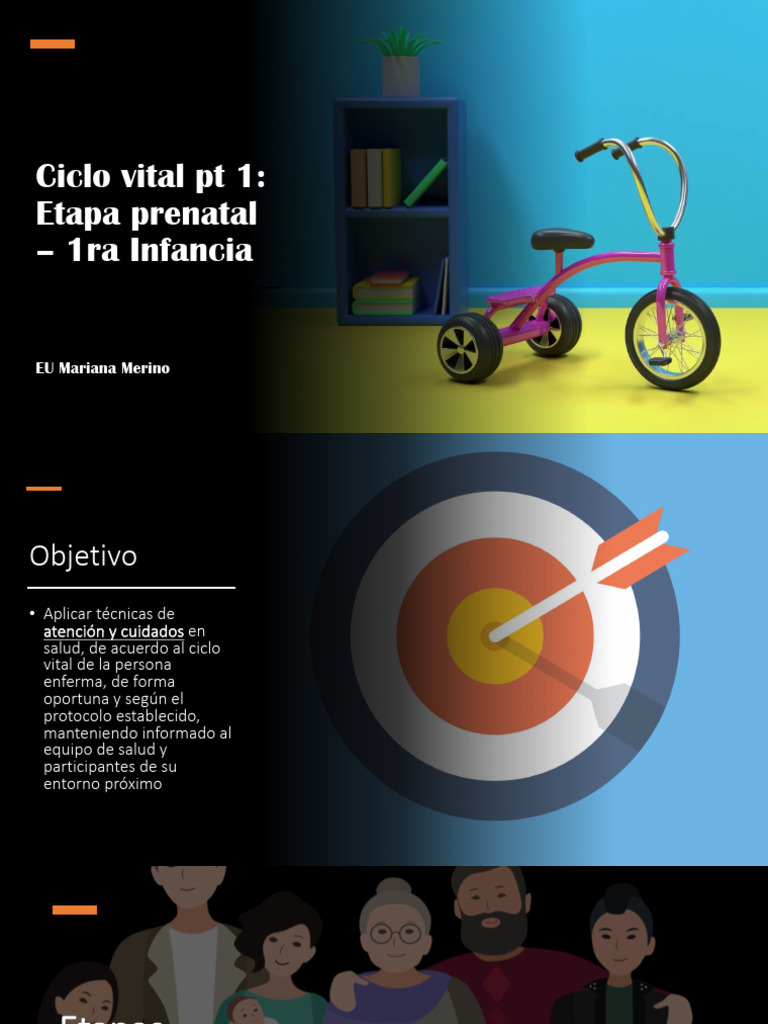 Ciclo Vital Prenatal - Lactante | Descargar gratis PDF | Adultos ...