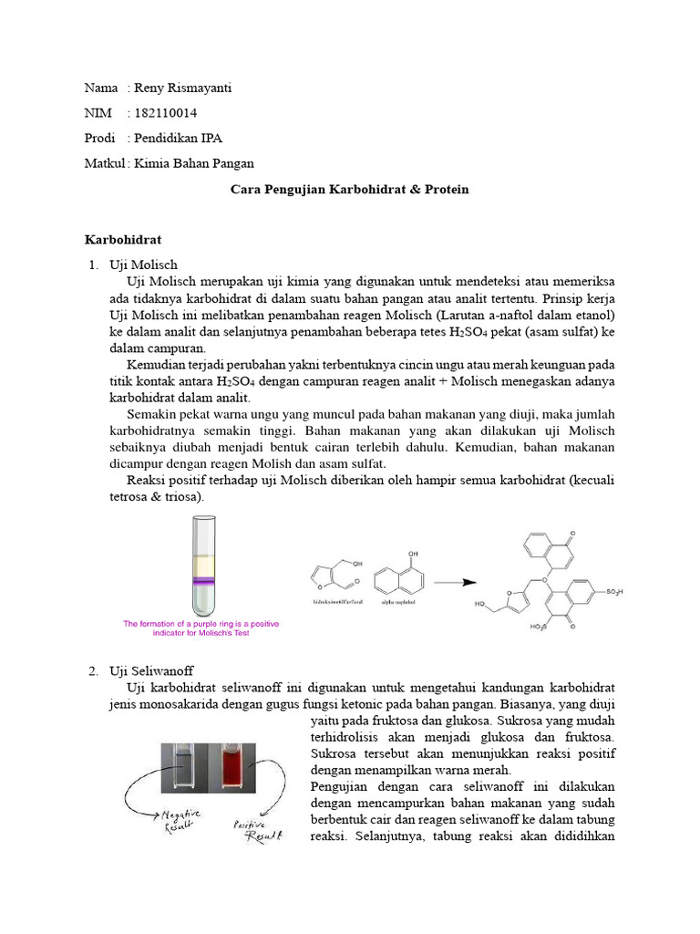Uji Karbo Protein - Reny Rismayanti - KBP | PDF