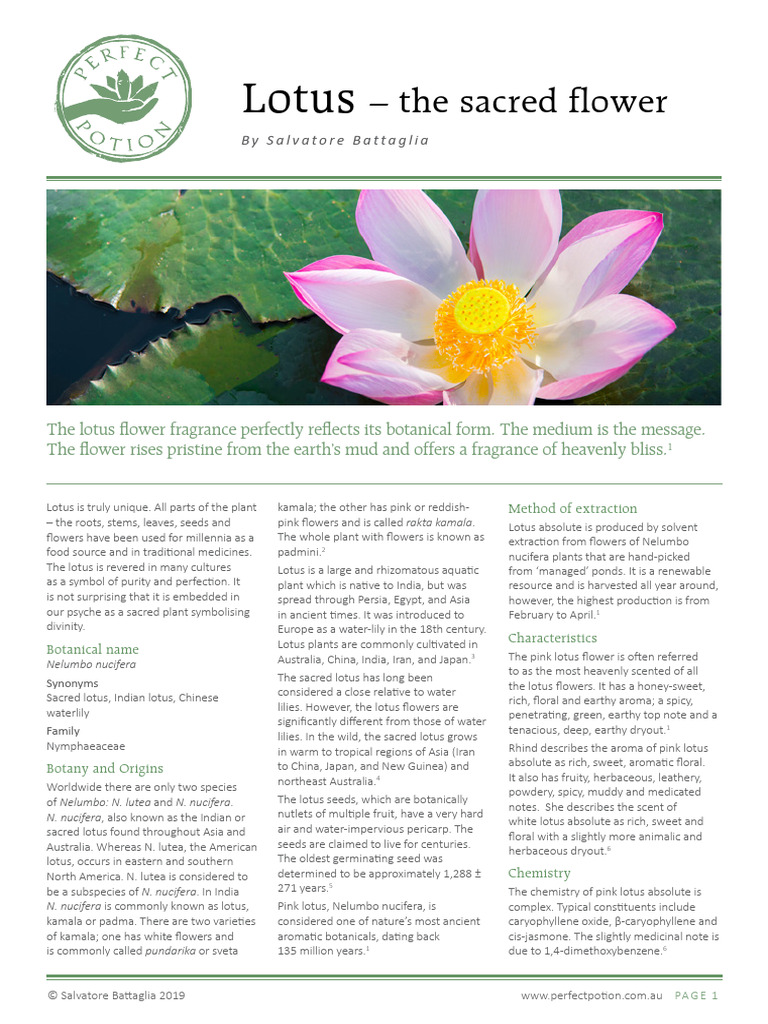 Characteristics of the Lotus Flower | PDF