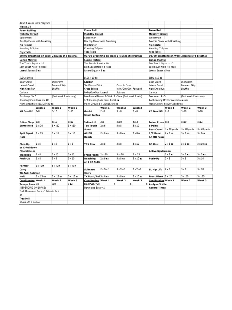 Adult Program | PDF | Physical Fitness | Strength Training