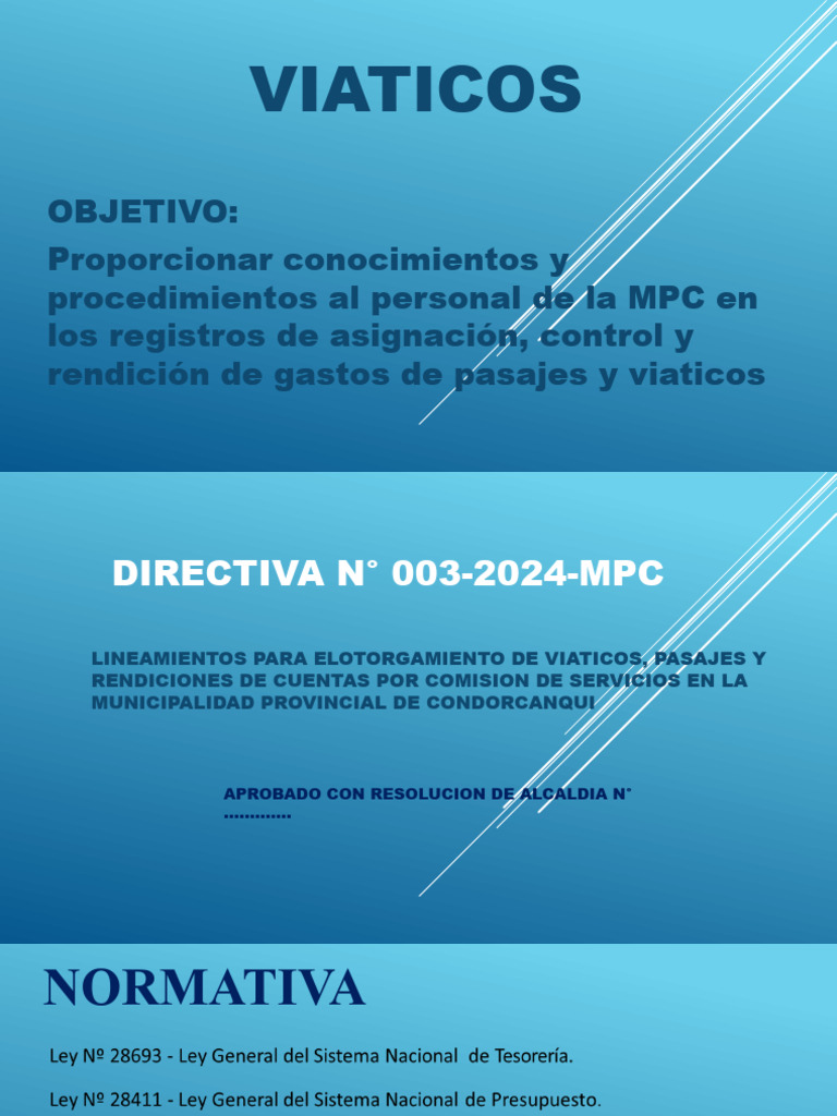 VIATICOS EXPOSICION | PDF