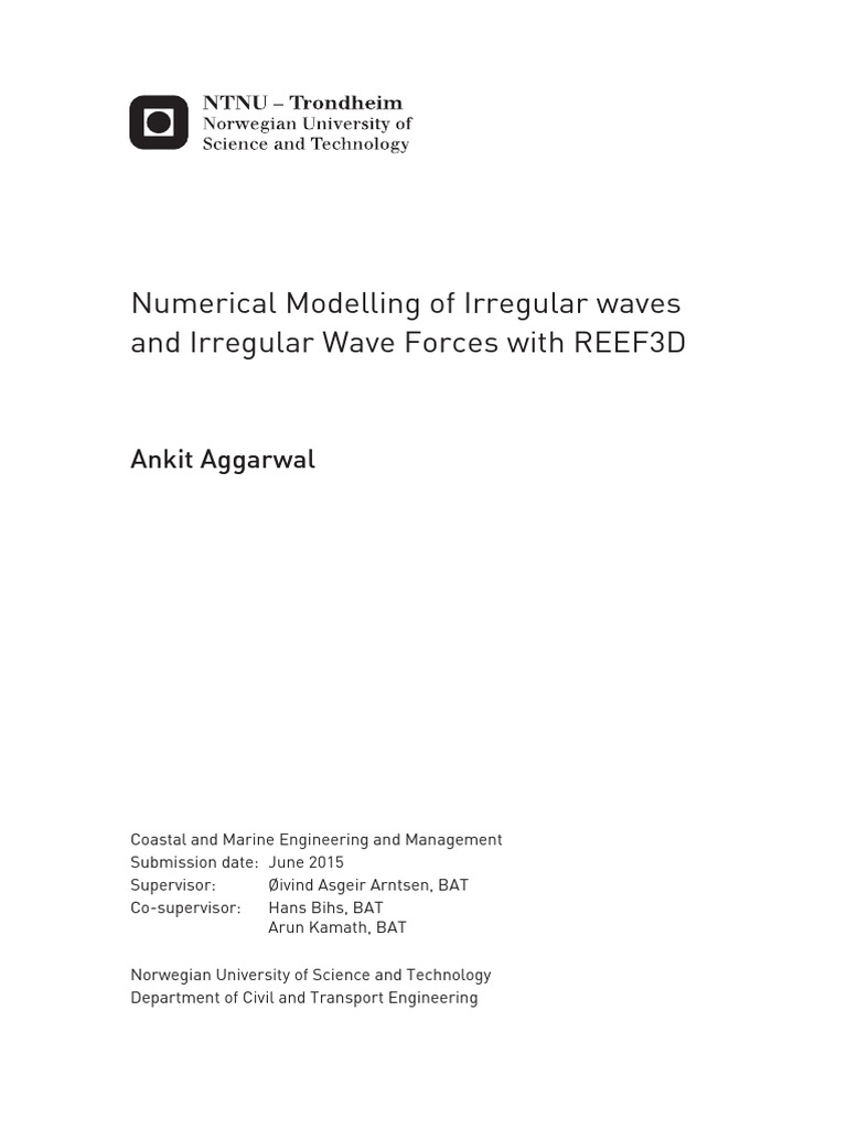 Numerical Modelling of Irregular Waves and Irregular Wave Forces With REEF3D | PDF | Finite ...