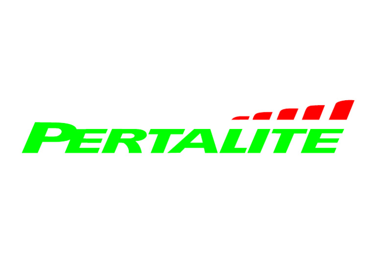 Pertalite Logo | PDF
