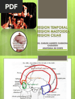 1 Region Superciliar | PDF | Cráneo | Anatomía humana