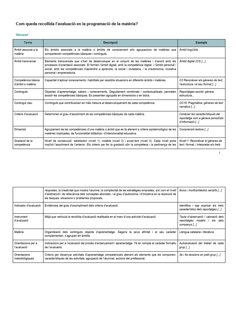 Model de Programació (Ex. Llengua) | PDF