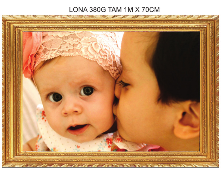Lona 380G - Moreira Tam 1M X 70CM - Flash Gráfica | PDF