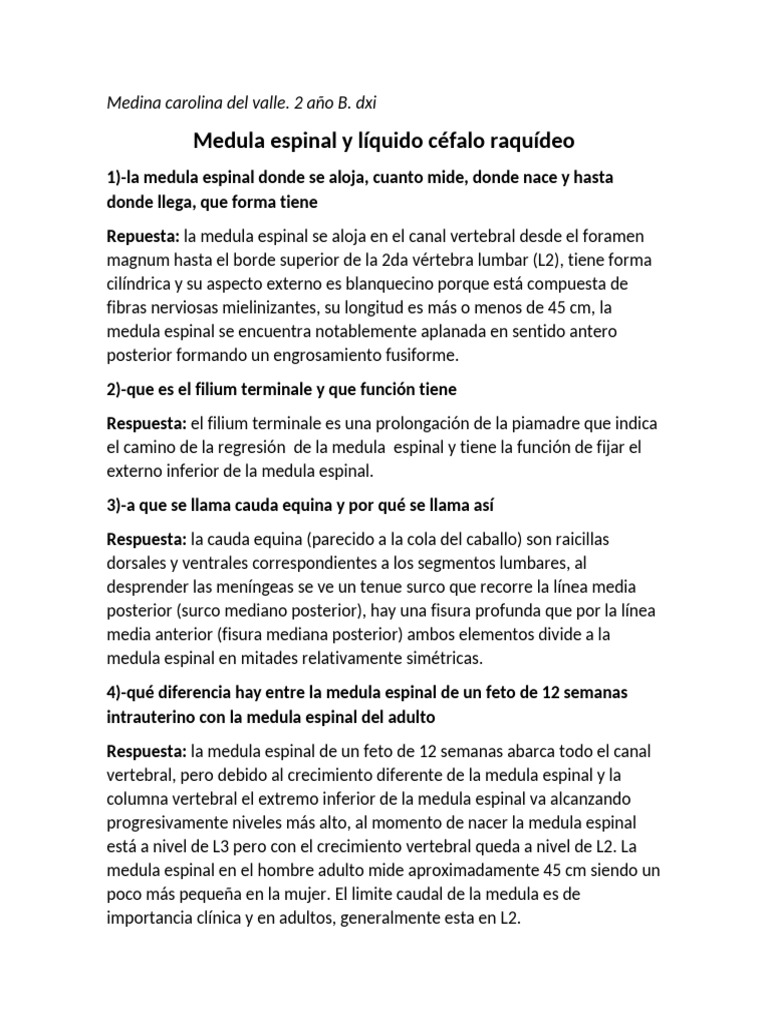 Medula Espinal y Líquido Céfalo Raquídeo. | Descargar gratis PDF ...
