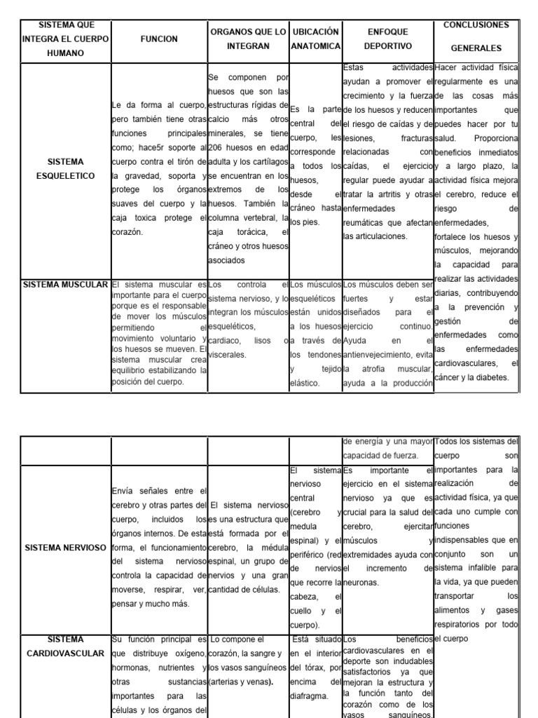 Funciones y Sistemas del Cuerpo Humano | PDF | Sistema nervioso | Sistema respiratorio