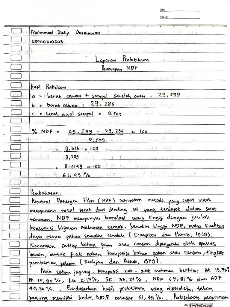 203 - Mohamad Dicky Dermawan - Penetapan NDF | PDF