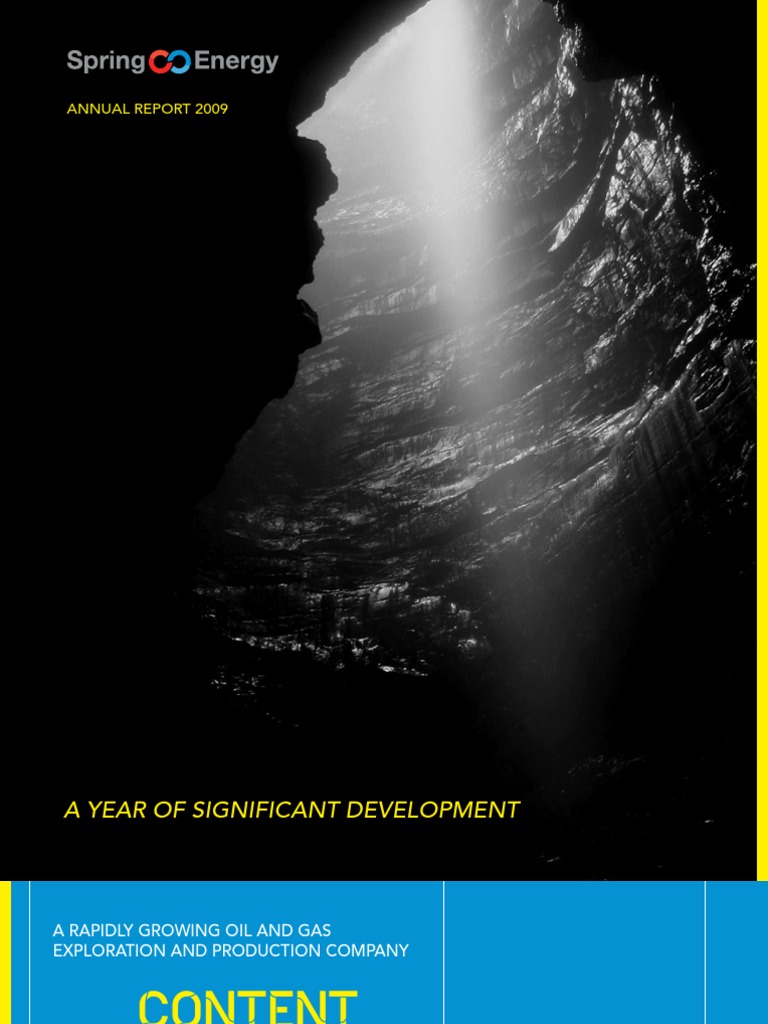 Spring Energy Annual Report 2009 | PDF | Governance | Corporate Governance