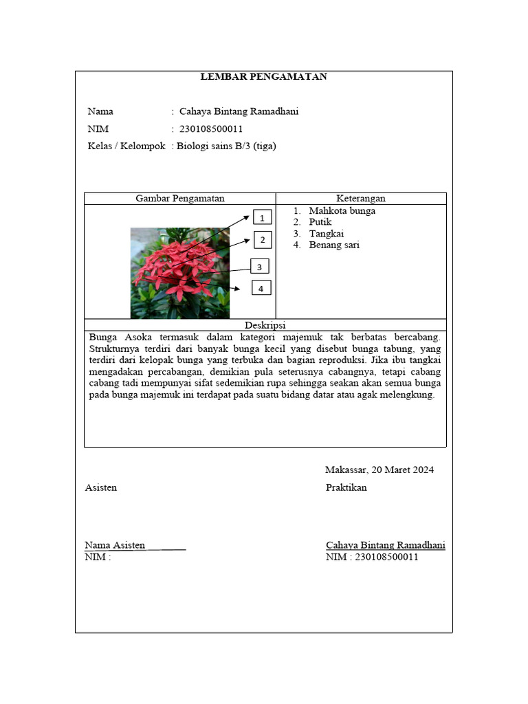 Template Lembar Pengamatan SPT | PDF