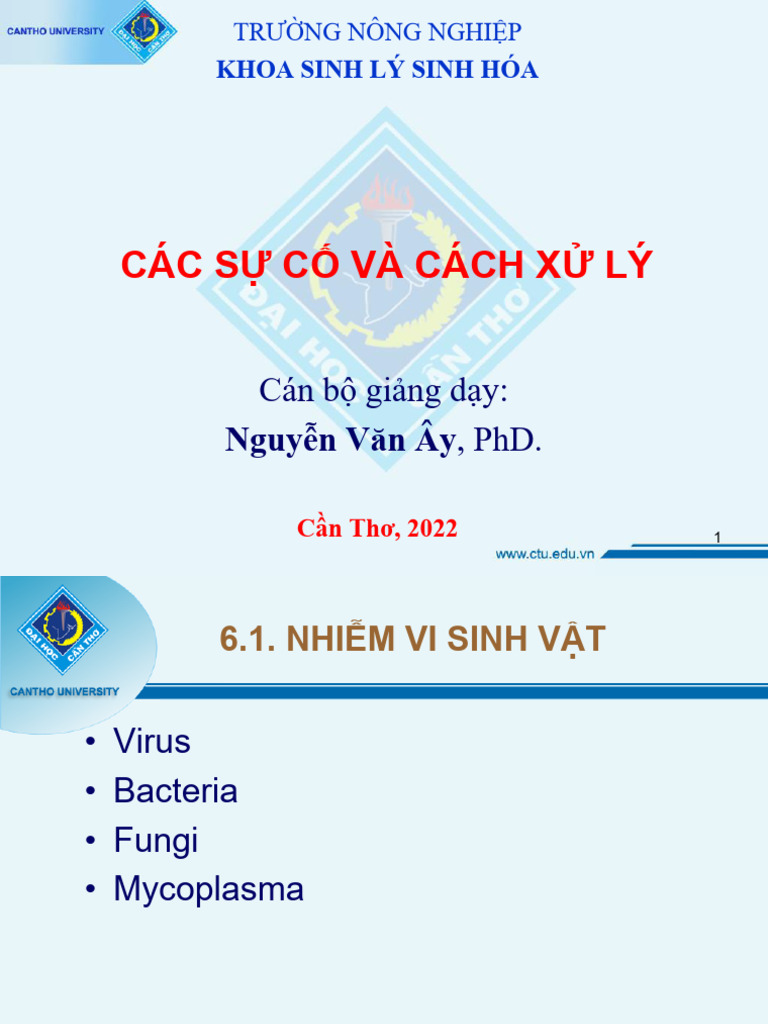 Chapter 6 | PDF Chapter 6 | PDF