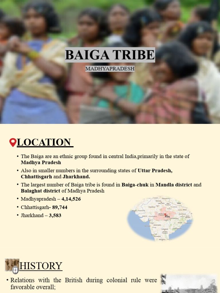 Baiga Tribe PPT | PDF