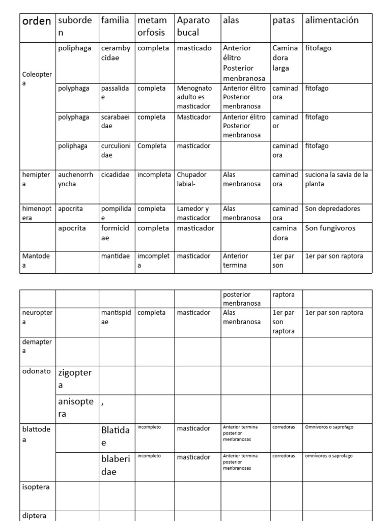 Clasificacion de Los Insectos de La Caja Entomologica | PDF | Ordenes ...