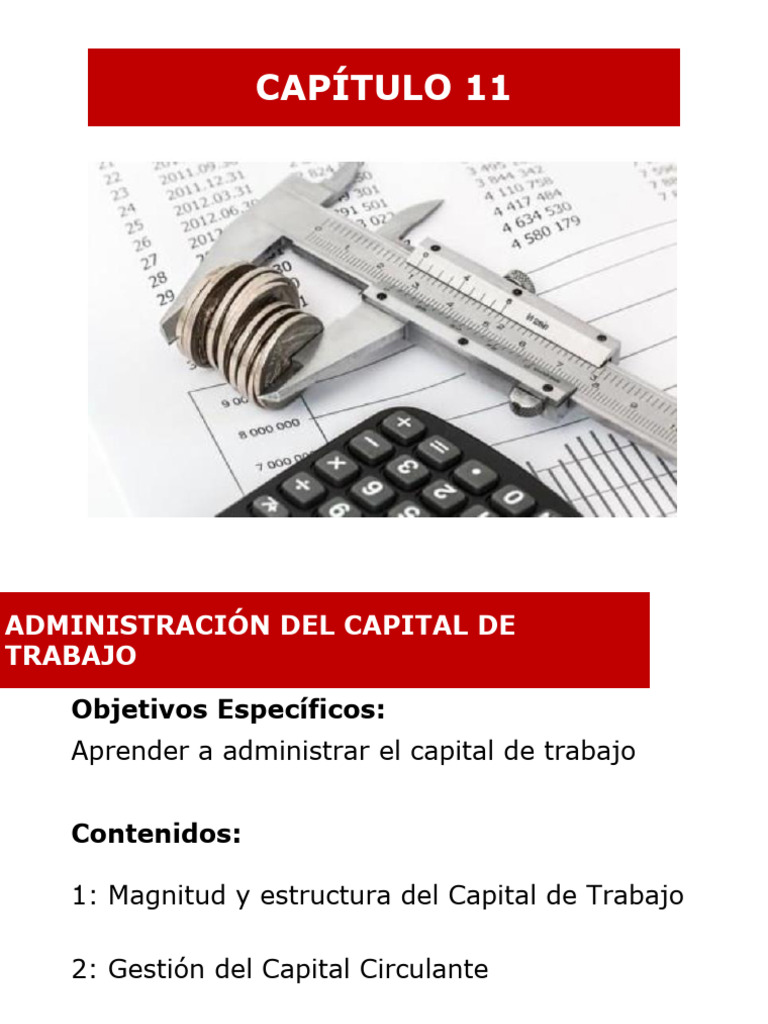 Teórico Capítulo 11 | PDF