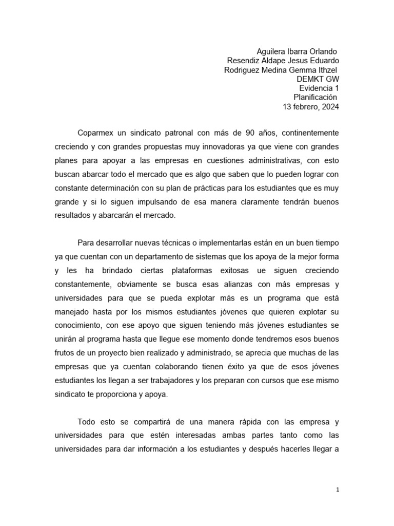 Evi 1 Otilia | PDF | Marketing | Planificación